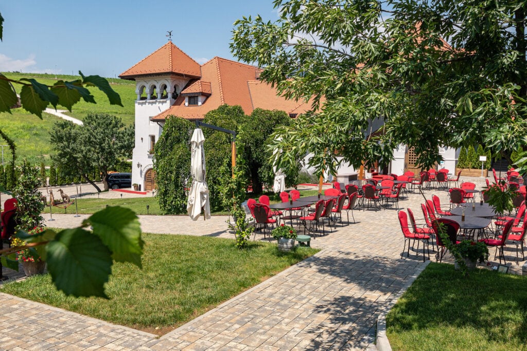 Restaurant Conac | Mancare Romaneasca - Moderna | Casa Timis