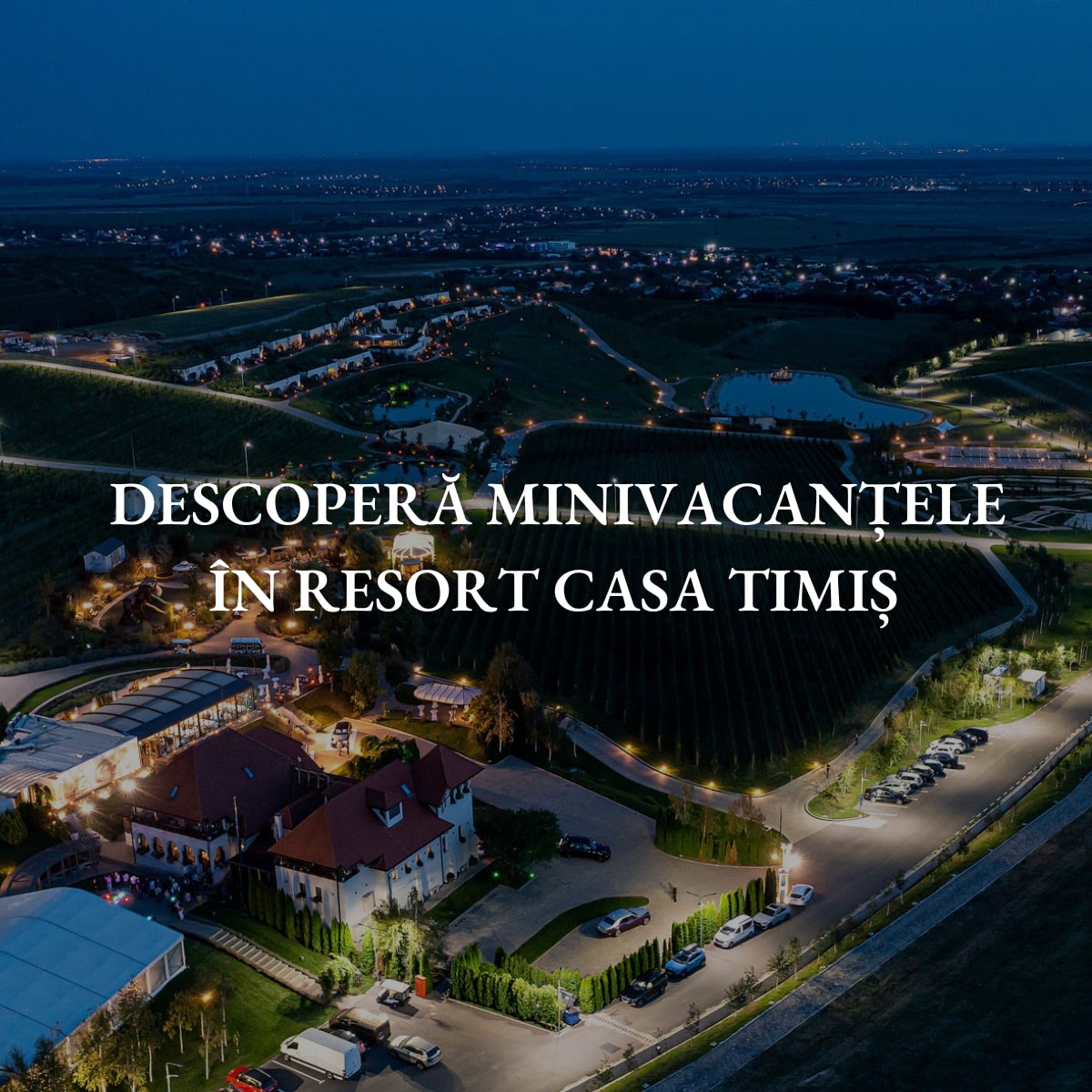 Casa Timis - Relaxare la conac in Chitorani, Prahova