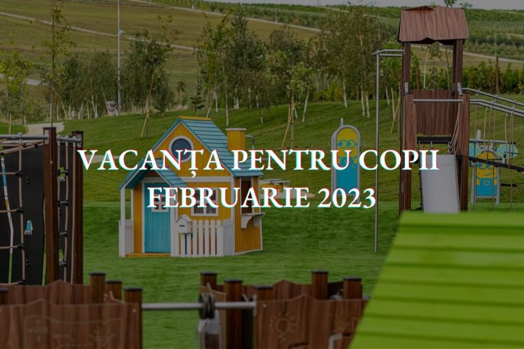 Casa Timis - Relaxare la conac in Chitorani, Prahova